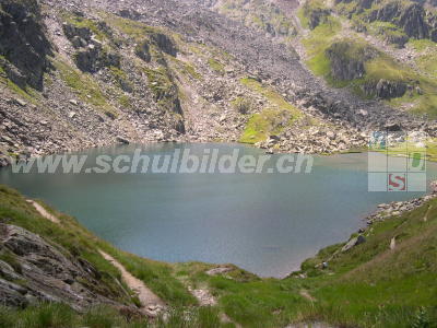 Bild: Rheinquelle Tomasee - Natur - Gewässer