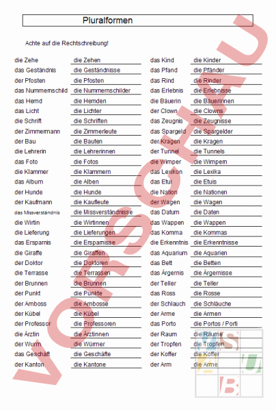 Arbeitsblatt: Pluralformen - Deutsch - Grammatik