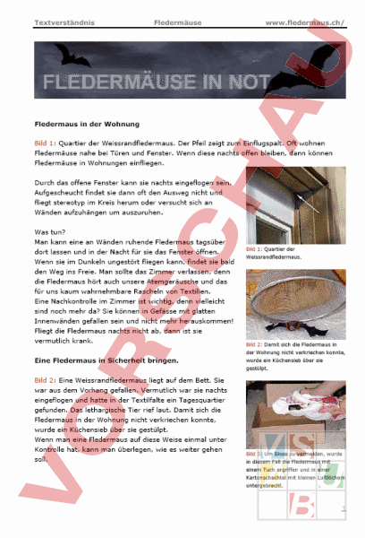Arbeitsblatt: Fledermäuse in der Wohnung - Deutsch - Textverständnis