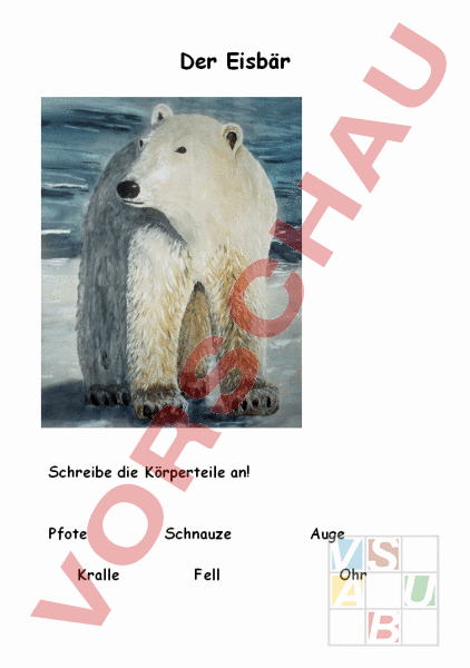 Arbeitsblatt: Körperteile Eisbär - Biologie - Tiere
