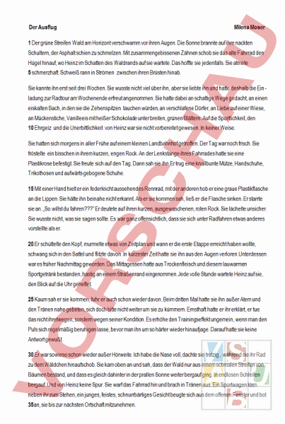 Arbeitsblatt: Der Ausflug - Deutsch - Lesefertigkeit