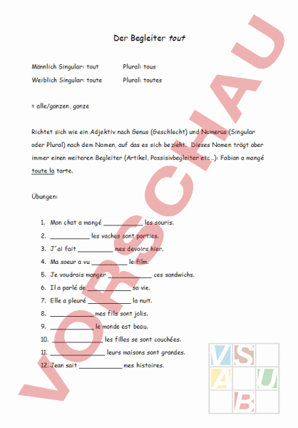 Arbeitsblatt: Der Begleiter - Französisch - Grammatik