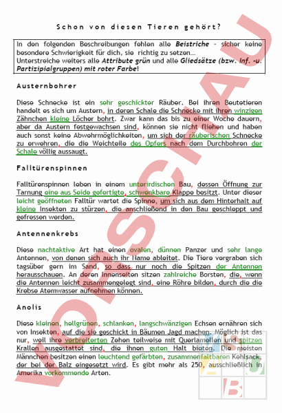 Arbeitsblatt: Beistrich-Attribut - Deutsch - Grammatik