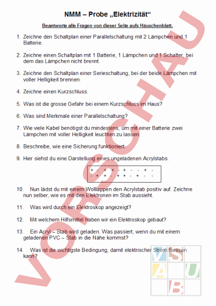 Arbeitsblatt: Probe Stromkreise - Physik - Elektrizität / Magnetismus