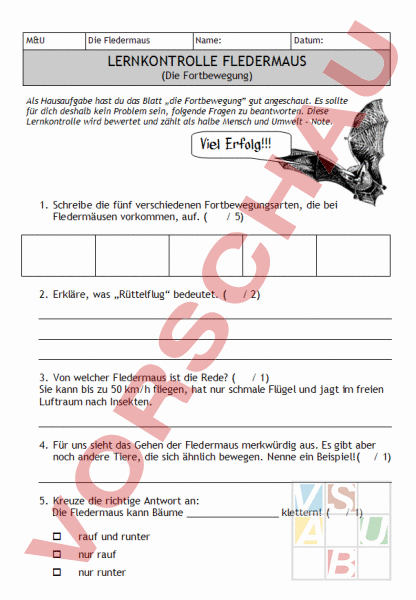 Arbeitsblatt: Lernkontrolle Fledermaus - Biologie - Tiere