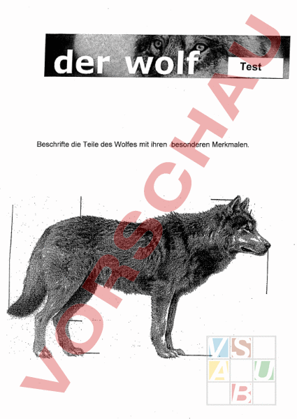 Arbeitsblatt: Der Wolf (Test) - Biologie - Tiere