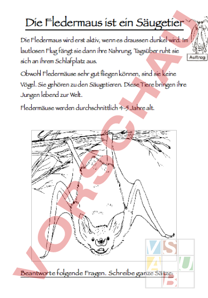 Arbeitsblatt: Fledermaus - Biologie - Tiere