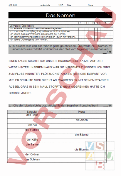 Arbeitsblatt: Lernkontrolle Nomen - Deutsch - Grammatik