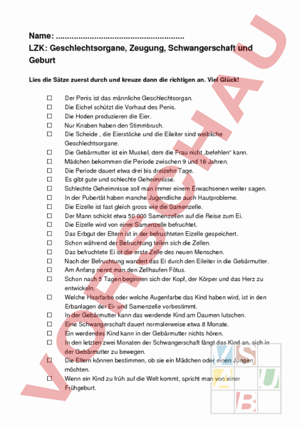 Arbeitsblatt: LZK Pubertät/Zeugung/Schwangerschaft - Biologie ...
