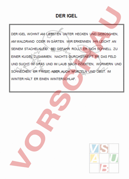Arbeitsblatt: Der Igel - Deutsch - Rechtschreibung