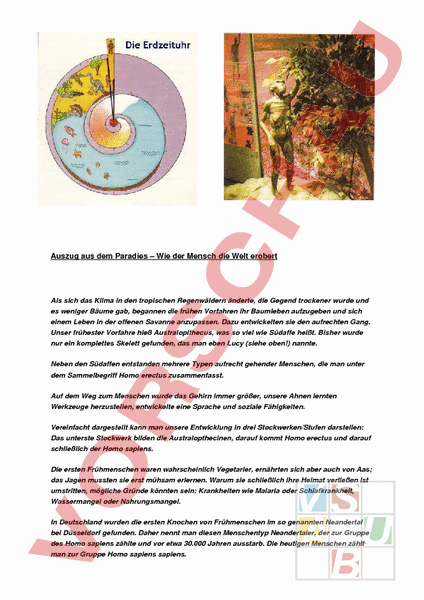 Arbeitsblatt: Evolution des Menschen - Geschichte - Urzeit