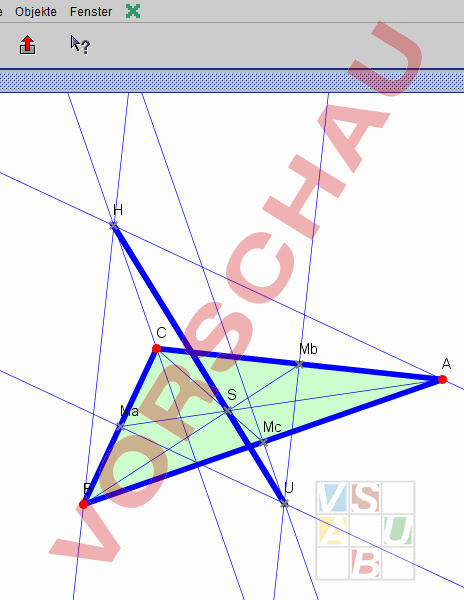 Arbeitsblatt: Dynamische Konstruktion der Eulerschen Gerade - Geometrie ...