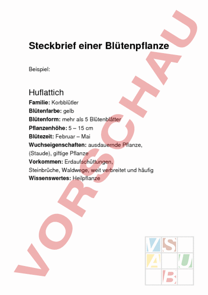 Arbeitsblatt Steckbrief Biologie Pflanzen Botanik