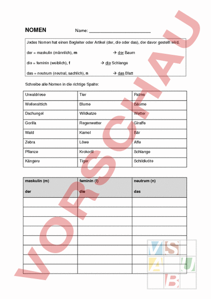 Arbeitsblatt: Nomen Genus (Dschungelthema) - Deutsch - Grammatik