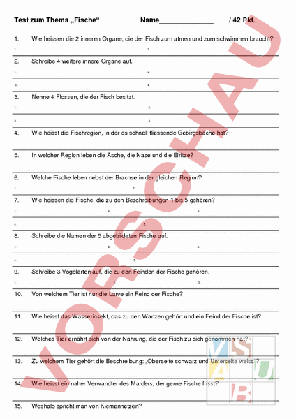 Arbeitsblatt: Test Fische - Biologie - Tiere