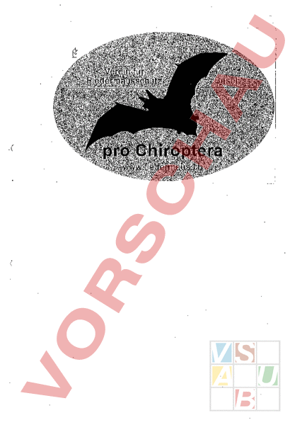 Arbeitsblatt: Fledermaus - Biologie - Tiere