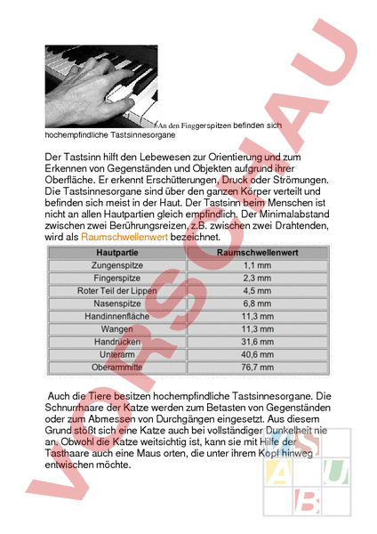 Arbeitsblatt: Tastsinn - Biologie - Anatomie / Physiologie