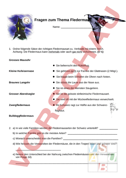 Arbeitsblatt: Fledermaus-Lernkontrolle - Biologie - Tiere