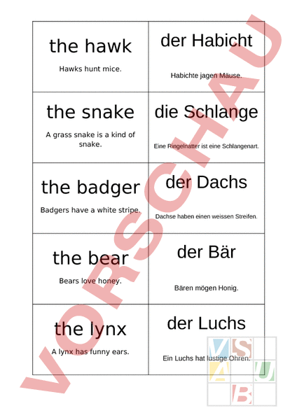 Arbeitsblatt: exploring nature YW 2 - Englisch - Wortschatz