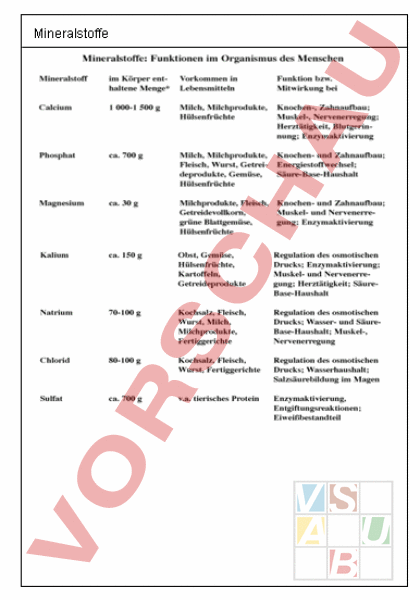 Arbeitsblatt: Mineralstoffe - Biologie - Anatomie / Physiologie