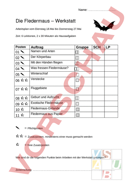 Arbeitsblatt: fledermaus werkstatt - Biologie - Tiere