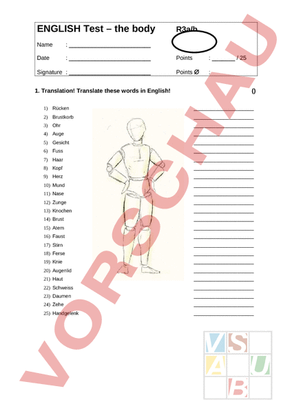Arbeitsblatt: body - Englisch - Wortschatz