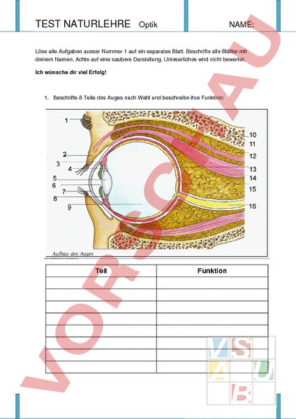 Arbeitsblatt: Test Auge - Biologie - Anatomie / Physiologie