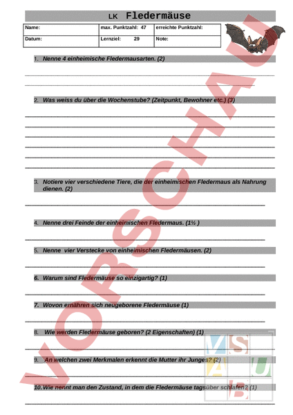 Arbeitsblatt: Fledermäuse - Biologie - Tiere
