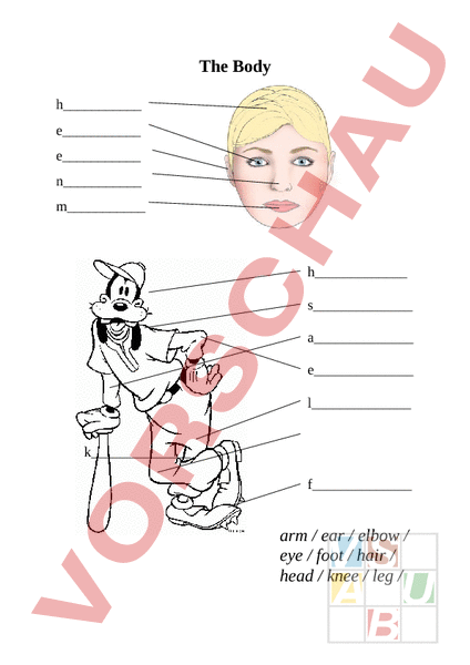 Arbeitsblatt: Parts of the body - Englisch - Wortschatz