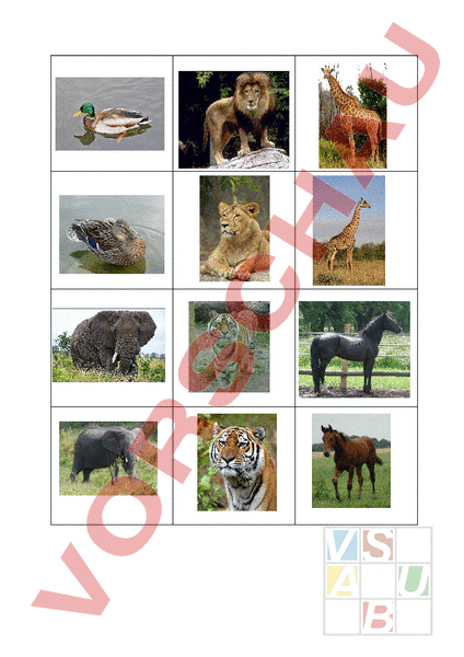 Arbeitsblatt: Tier - Memory - Biologie - Tiere
