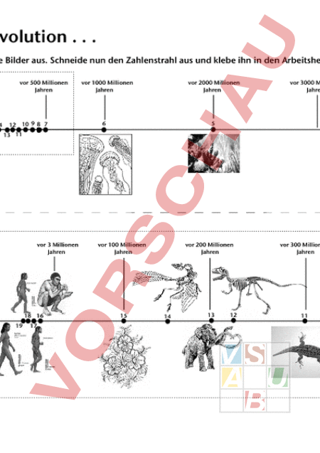 Arbeitsblatt: uebersicht evolution - Geschichte - Urzeit
