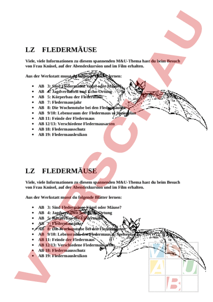 Arbeitsblatt: Lernziele zur Fledermaus - Biologie - Tiere