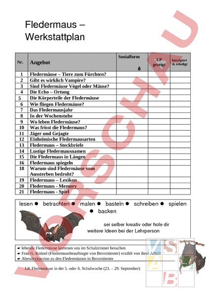 Arbeitsblatt: Arbeitspass Fledermaus - Biologie - Tiere