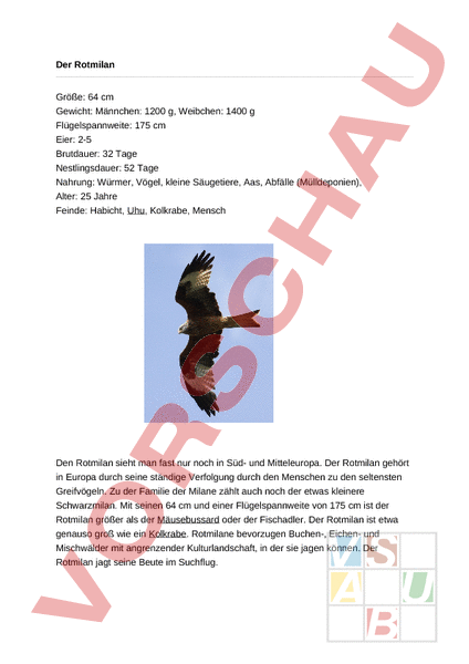Arbeitsblatt: Rotmilan - Biologie - Tiere