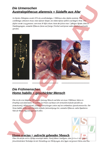 Arbeitsblatt: Die Urmenschen - Biologie - Evolution