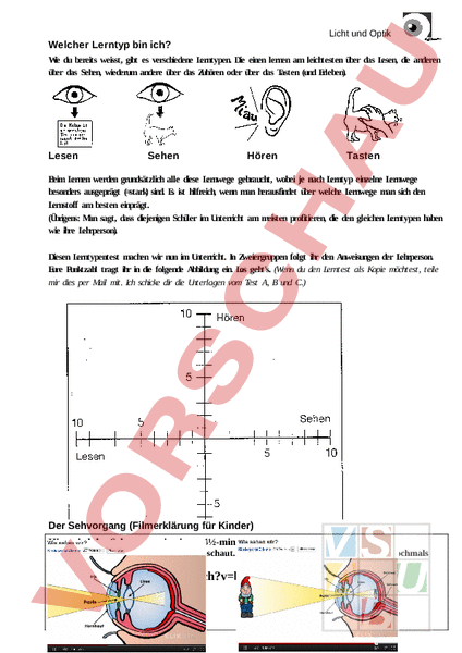 Arbeitsblatt: Sehvorgang - Biologie - Anatomie / Physiologie