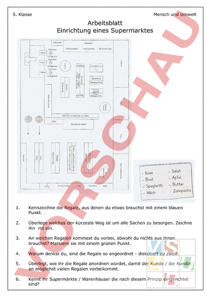 Arbeitsblatt: Einkaufen-Einrichtung eines Supermarktes - Lebenskunde ...