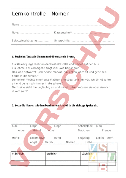 Arbeitsblatt: Lernkontrolle Nomen - Deutsch - Grammatik