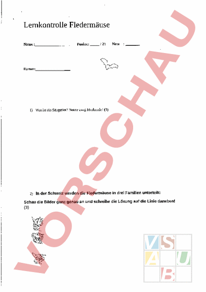 Arbeitsblatt: Lehrnkontrolle Fledermaus - Biologie - Tiere