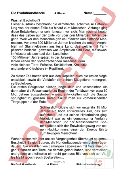 Arbeitsblatt: Lesetraining- die Evolution - Geschichte - Urzeit