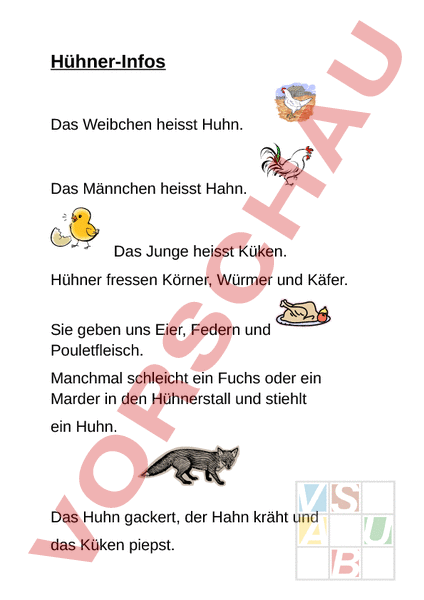 Arbeitsblatt: Hühner-Infos - Deutsch - Erstlesen