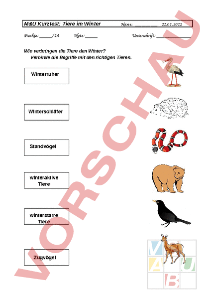 Arbeitsblatt: Kurztest Tiere im Winter - Biologie - Tiere