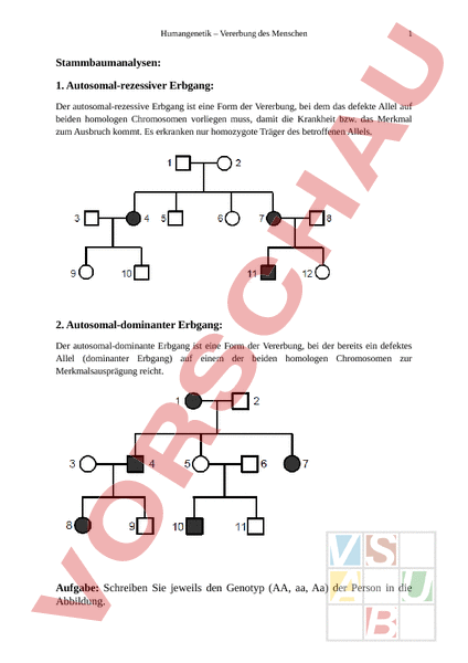 Arbeitsblatt: Rezessiv-dominanter erbgang - Biologie - Genetik