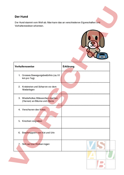 Arbeitsblatt: Der Hund - Biologie - Tiere
