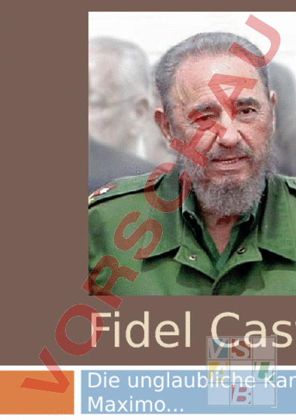Arbeitsblatt: Fidel Castro - Geschichte - Neuzeit
