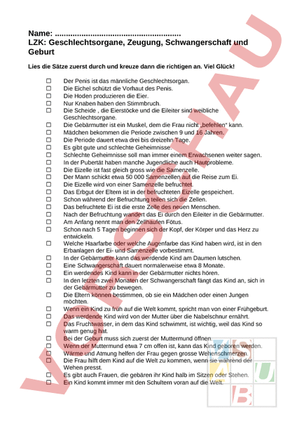 Arbeitsblatt: Lernzielkontrolle Zeugung/Schwangerschaft - Lebenskunde ...