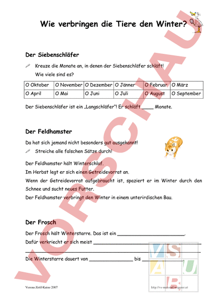 Arbeitsblatt: Tiere im Winter 2 - Biologie - Tiere