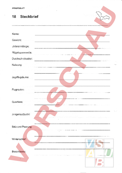 Arbeitsblatt: Steckbrief Tier (Fledermaus) - Deutsch - Vorlesen ...