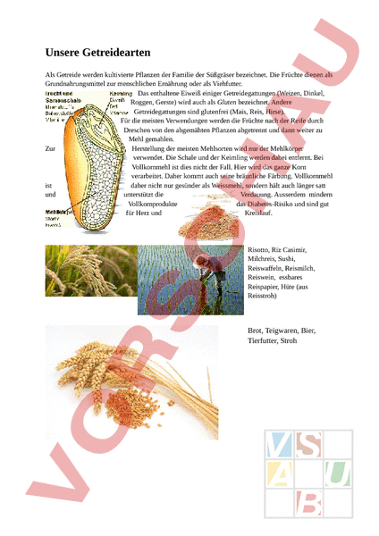 Arbeitsblatt: Getreidearten und ihre Verwendungszwecke - Biologie ...