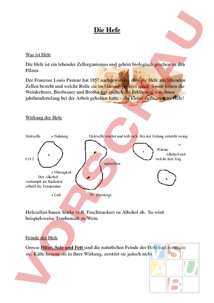 Arbeitsblatt: Die Hefe - Wirtschaft, Arbeit, Haushalt - Ernährungslehre